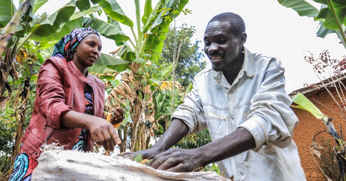 Rwanda : une jeunesse engagée pour un avenir vert ! - La pépinière de ...